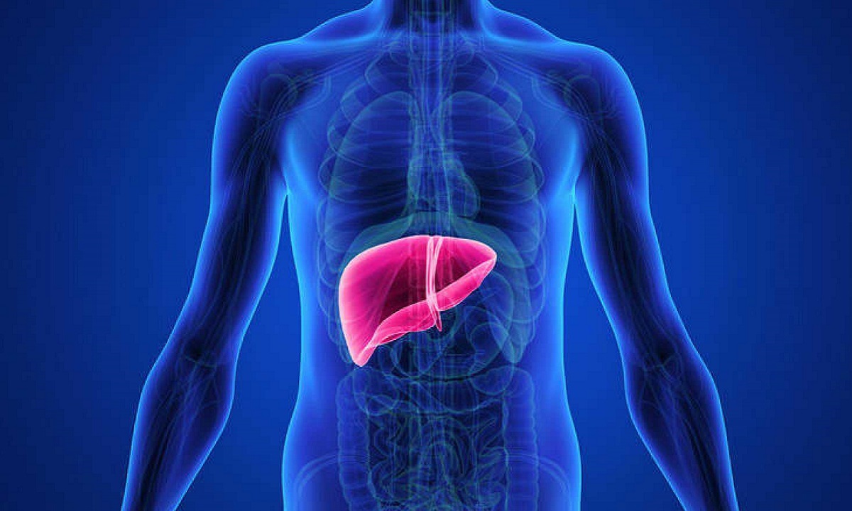 Síntomas del cáncer de hígado, tratamientos y diagnóstico